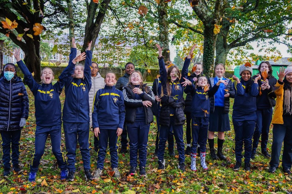 Presentation primary pupils getting back to nature with ‘Forest School ...