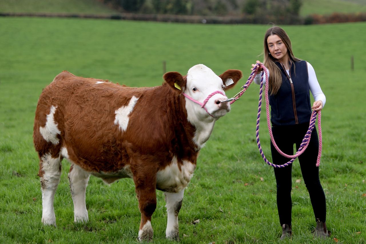‘I used to think people would judge me for showing cattle as it was ...