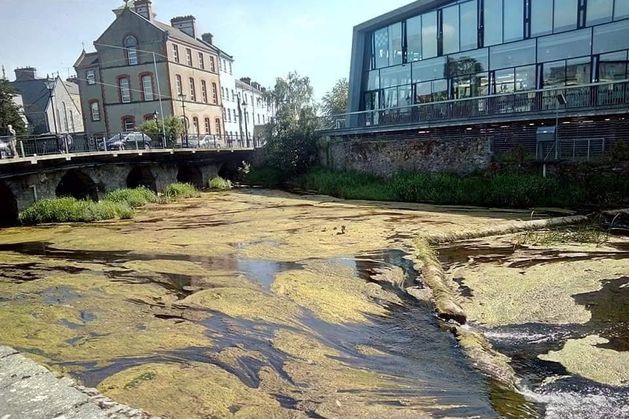 Tipperary TD calls for action plan to preserve River Suir | Irish ...
