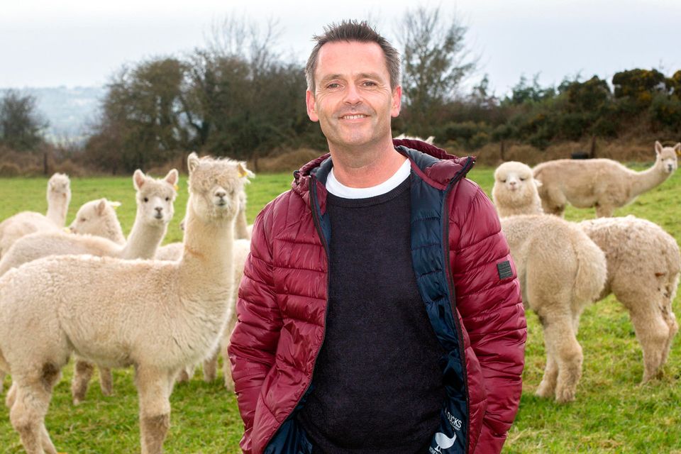 Anchorman Aengus to quit RTE newsroom after 30 years | Irish Independent