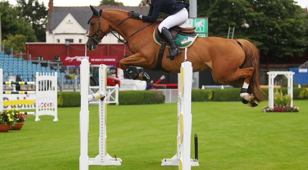 Showcasing potential champion mares | Irish Independent