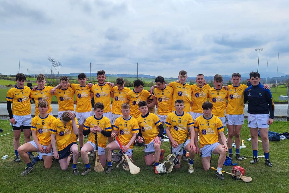 Wicklow strike Gold with handsome Celtic Challenge win over Westmeath ...
