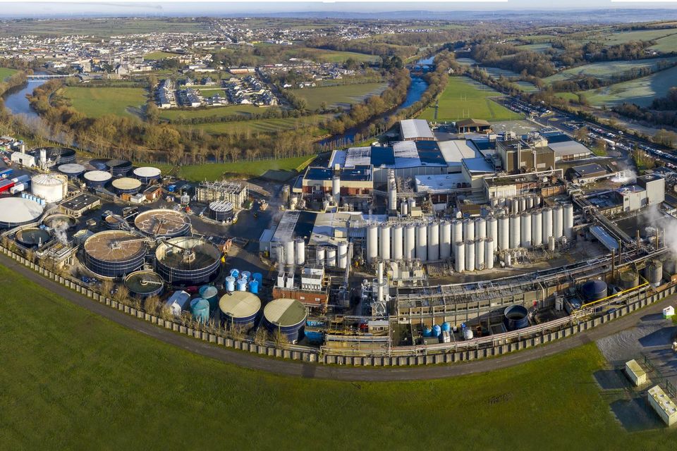 Sons of stricken Kerry plant worker Matthew Foley deliver heartbreaking ...