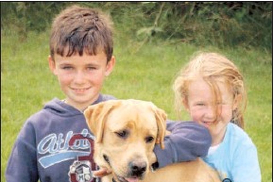 BALLYCANEW | Independent.ie