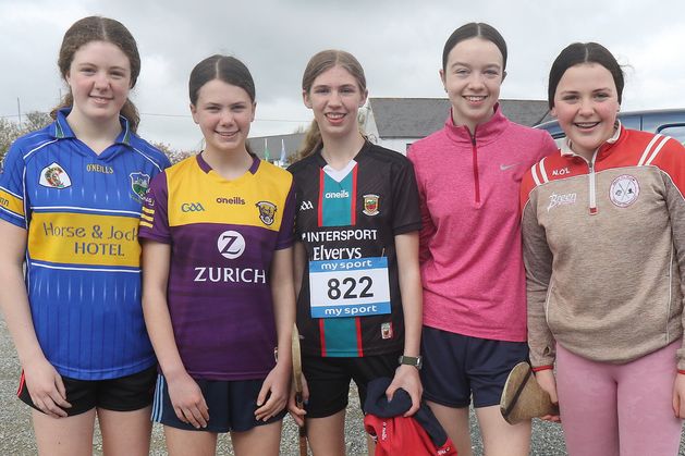 Around the Districts: Marshalstown-Castledockrell to Rathnure | Irish ...