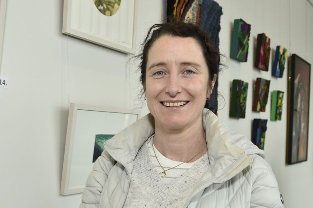 Gorey artist’s first solo exhibition is huge success | Irish Independent