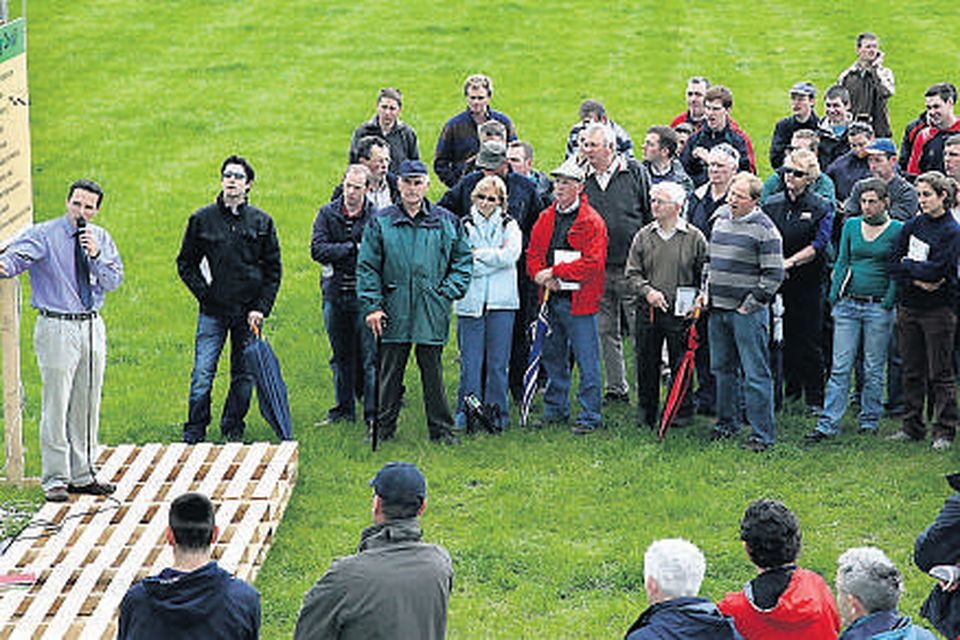 Grass is king at Moorepark | Irish Independent