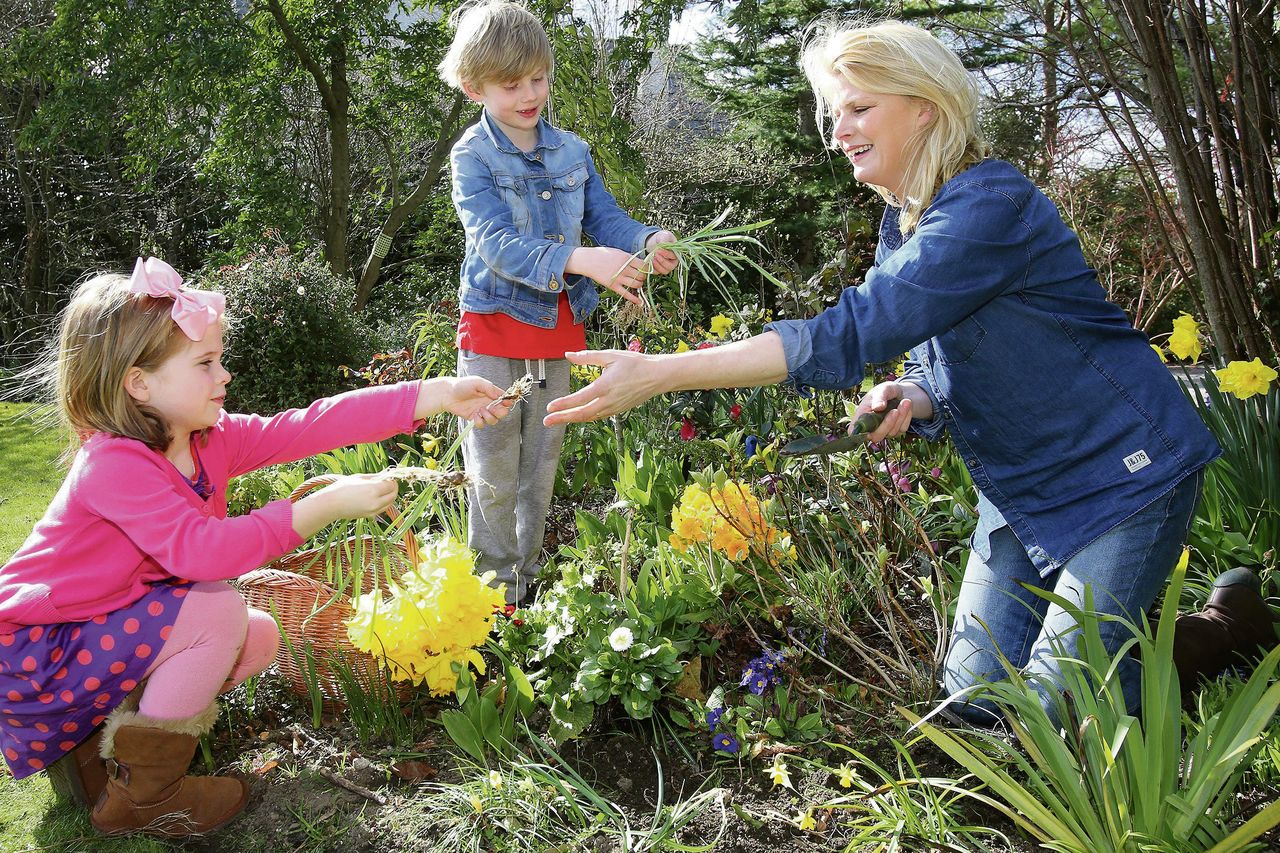 Little hands make a happy, fun garden for everyone | Irish Independent