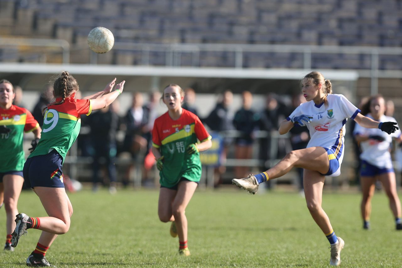 Brennan brace helps Wicklow set up Leinster Minor ‘C’ final with Louth ...