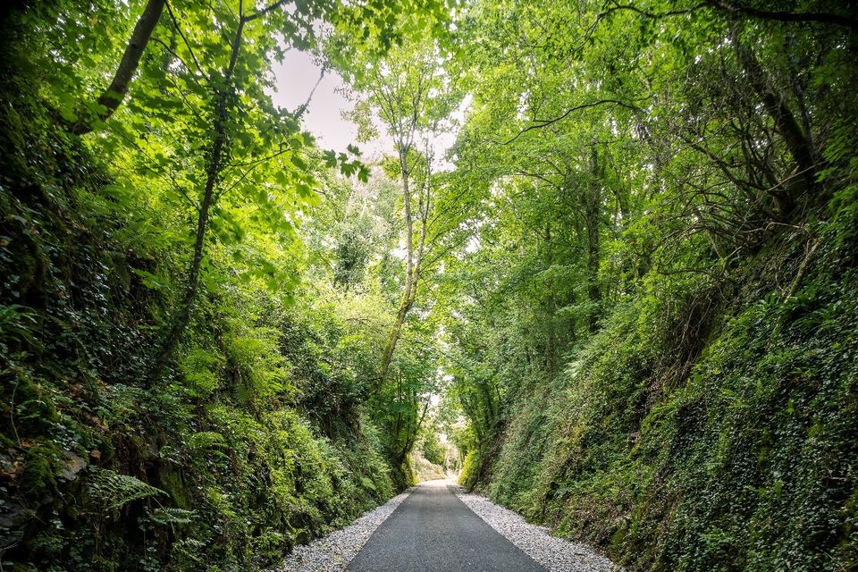 Six things to do when you visit the Kerry Greenways this summer | Irish ...