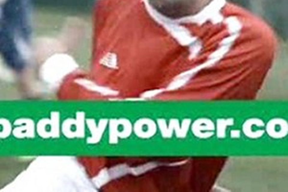 Paddy Power cat kick ad to stay | Irish Independent