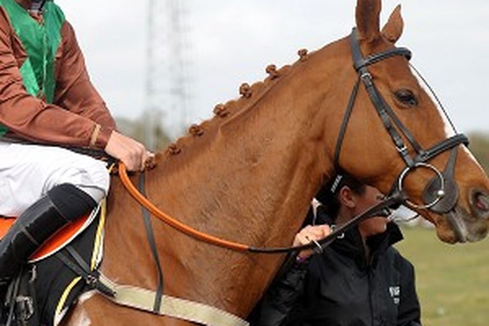 Leanne enters Cheltenham picture | Irish Independent