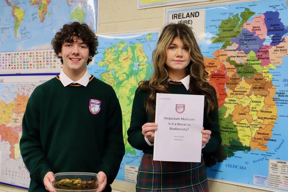 Kerry schools set for BT Young Scientist and Technology exhibition ...