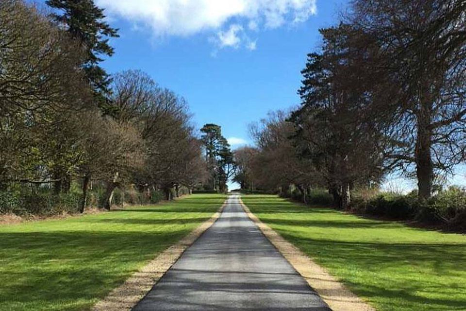 Wicklow residents opposed to restricting access along Tinakilly Avenue ...