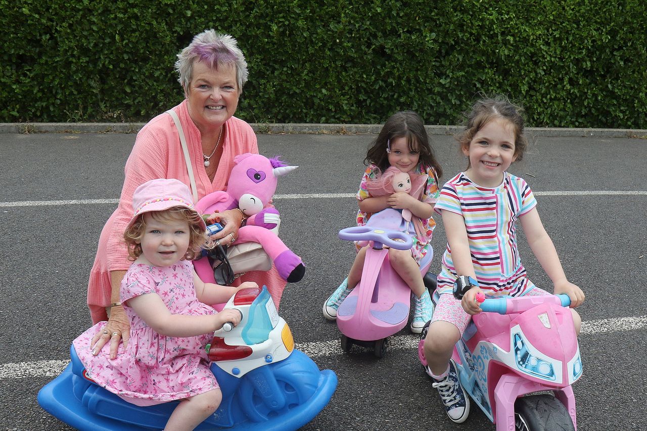 Parish field day in Oulart is great success despite the weather | Irish ...