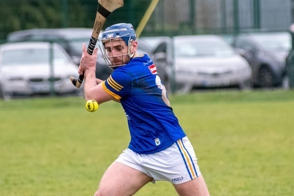 An exciting journey ahead as Wicklow hurlers start league campaign with ...