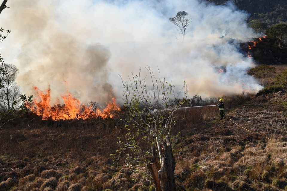 'We were lucky. We did get a fright, we could see the flames coming and ...