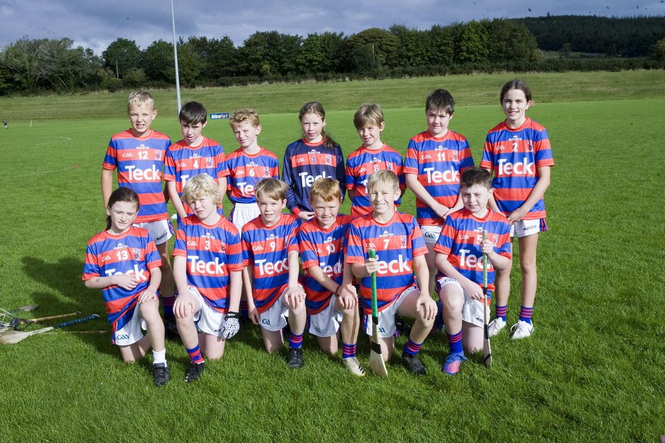 Western Gaels force way to victory over Luke O’Tooles | Irish Independent