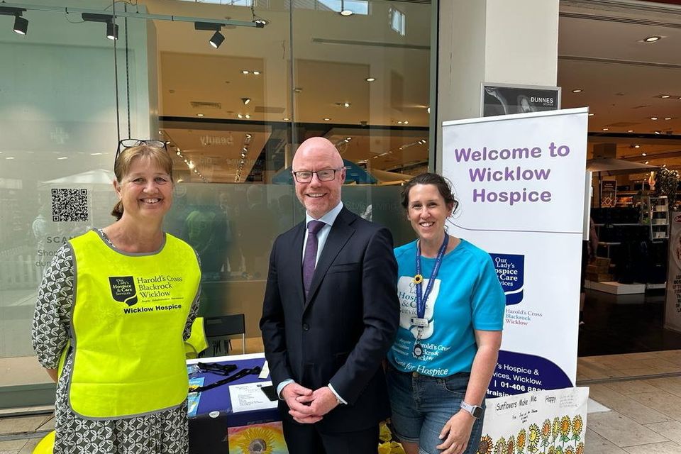 Wicklow shows huge support for crucial Hospice Sunflower Days | Irish ...