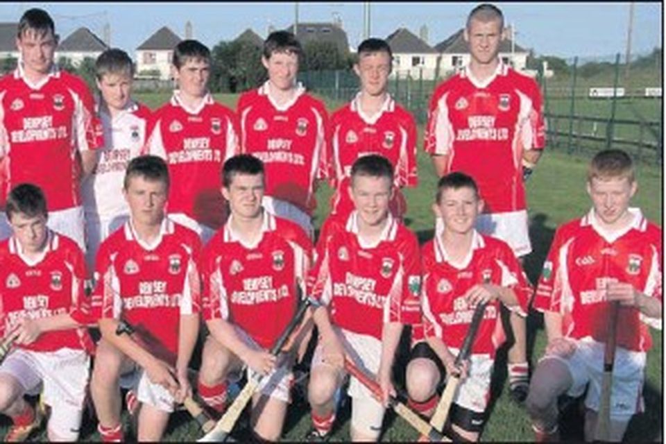 Five-star Staunton crushes Eire Og Greystones | Irish Independent