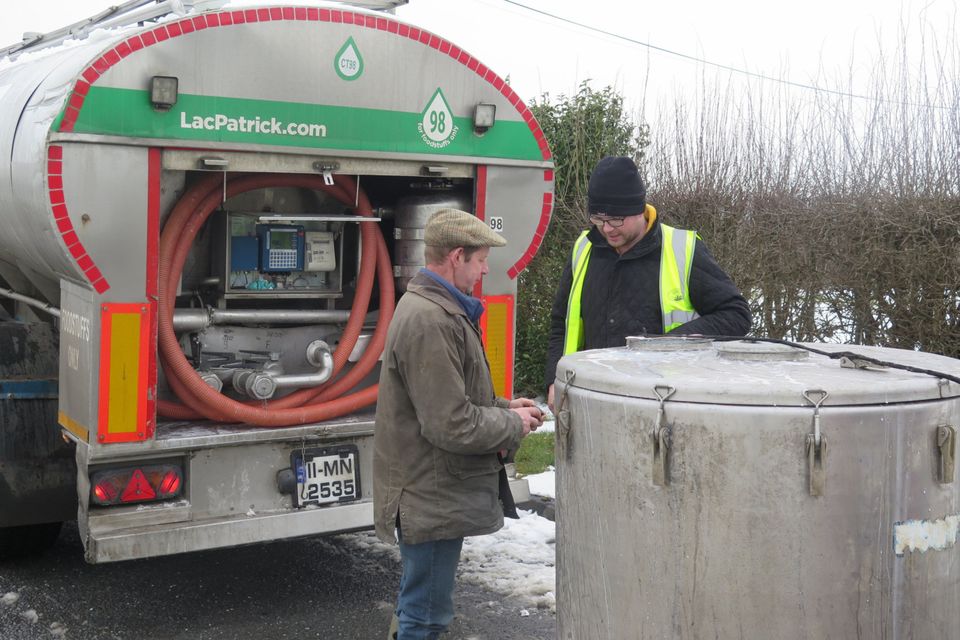 LacPatrick and Lakeland enter exclusive amalgamation talks | Irish ...