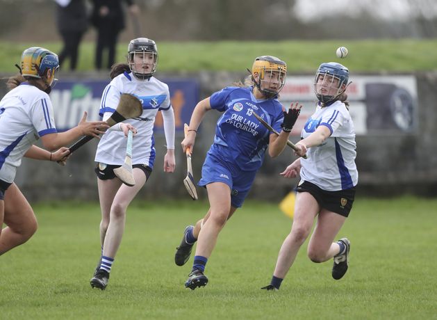 Our Lady of Lourdes lose to Templemore in All-Ireland schools camogie ...