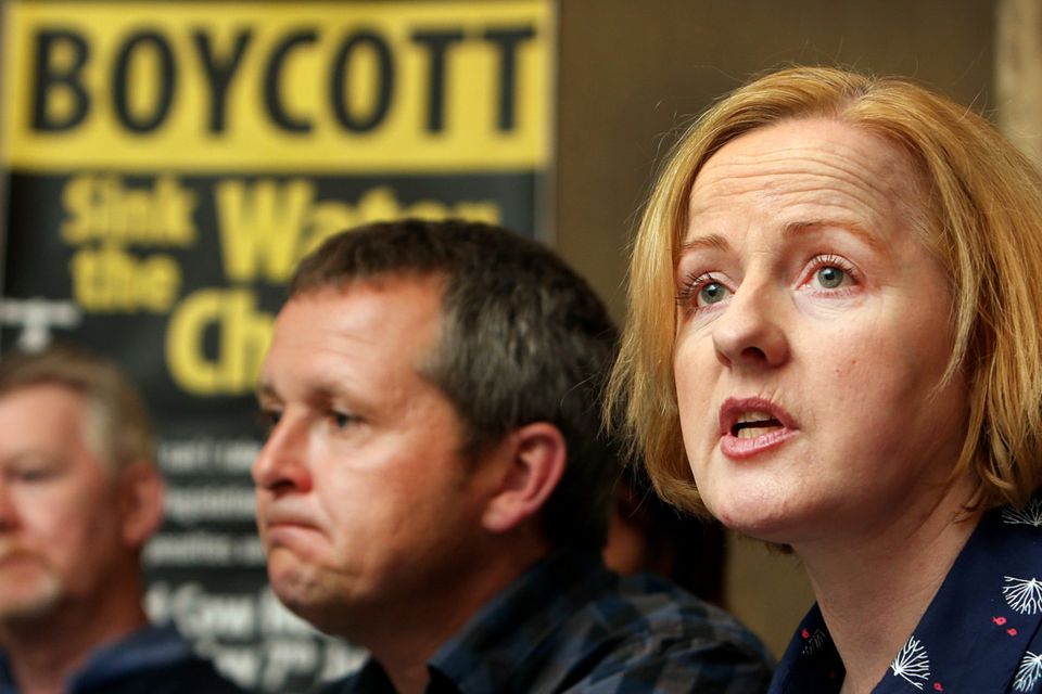 Dail deputy Ruth Coppinger and homeless families 'occupy' West Dublin ...