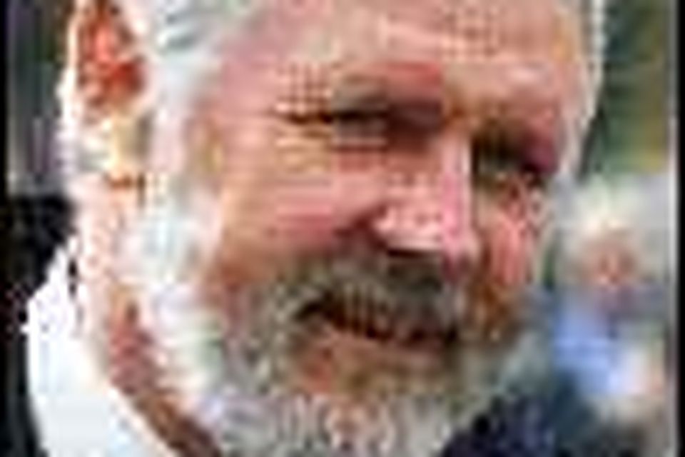 Standing ovation as Ferris calls for release of McCabe killers | Irish ...