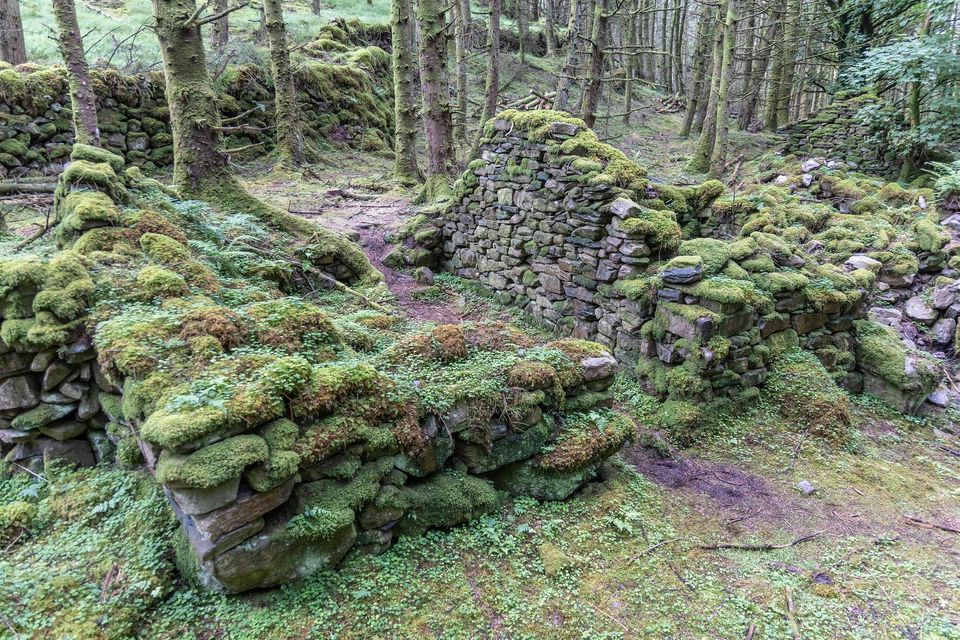 Interest stirred in Sligo’s abandoned pre-famine time village | Irish ...