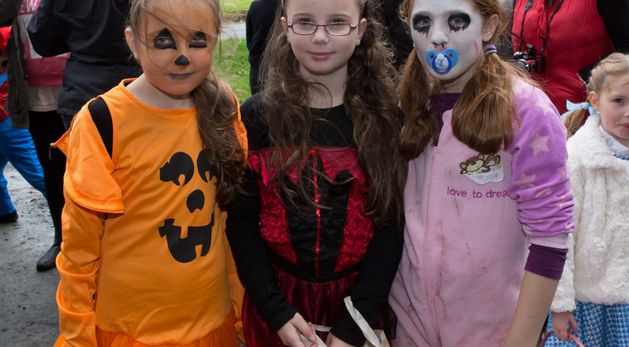 Woodland terror in Newtownmountkennedy | Irish Independent