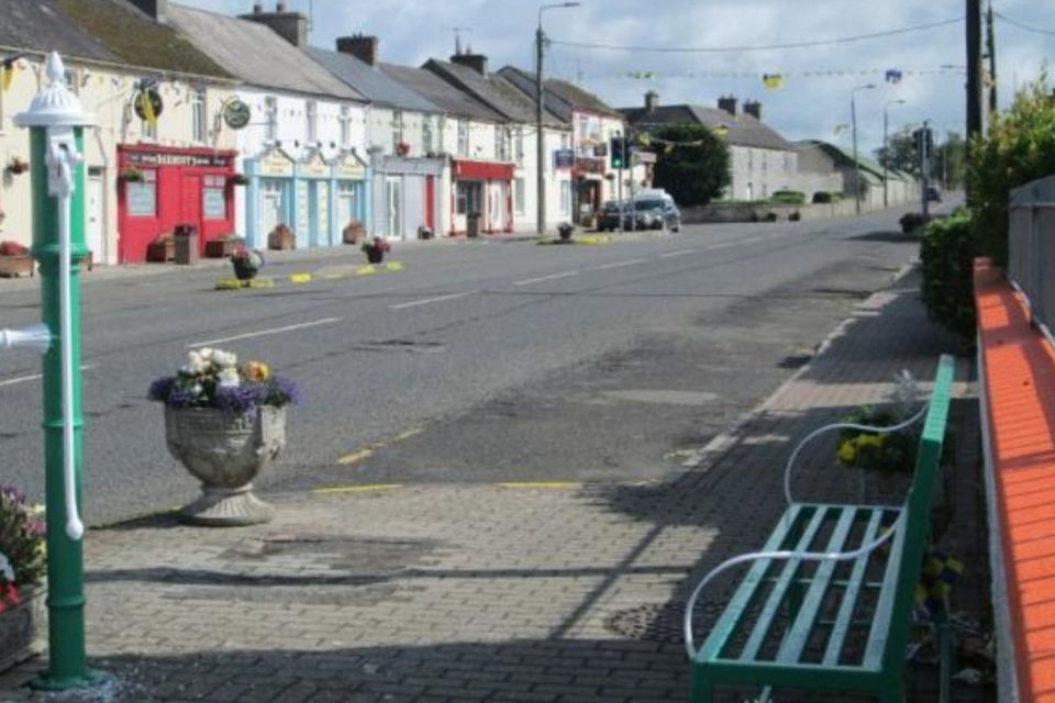Motorist is hospitalised in Tipperary after crash with loose horse in ...