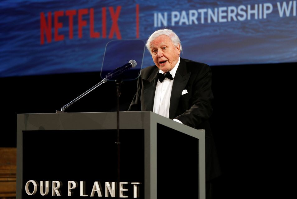 Our Planet a ‘brave’ series for strong climate change message, producer ...