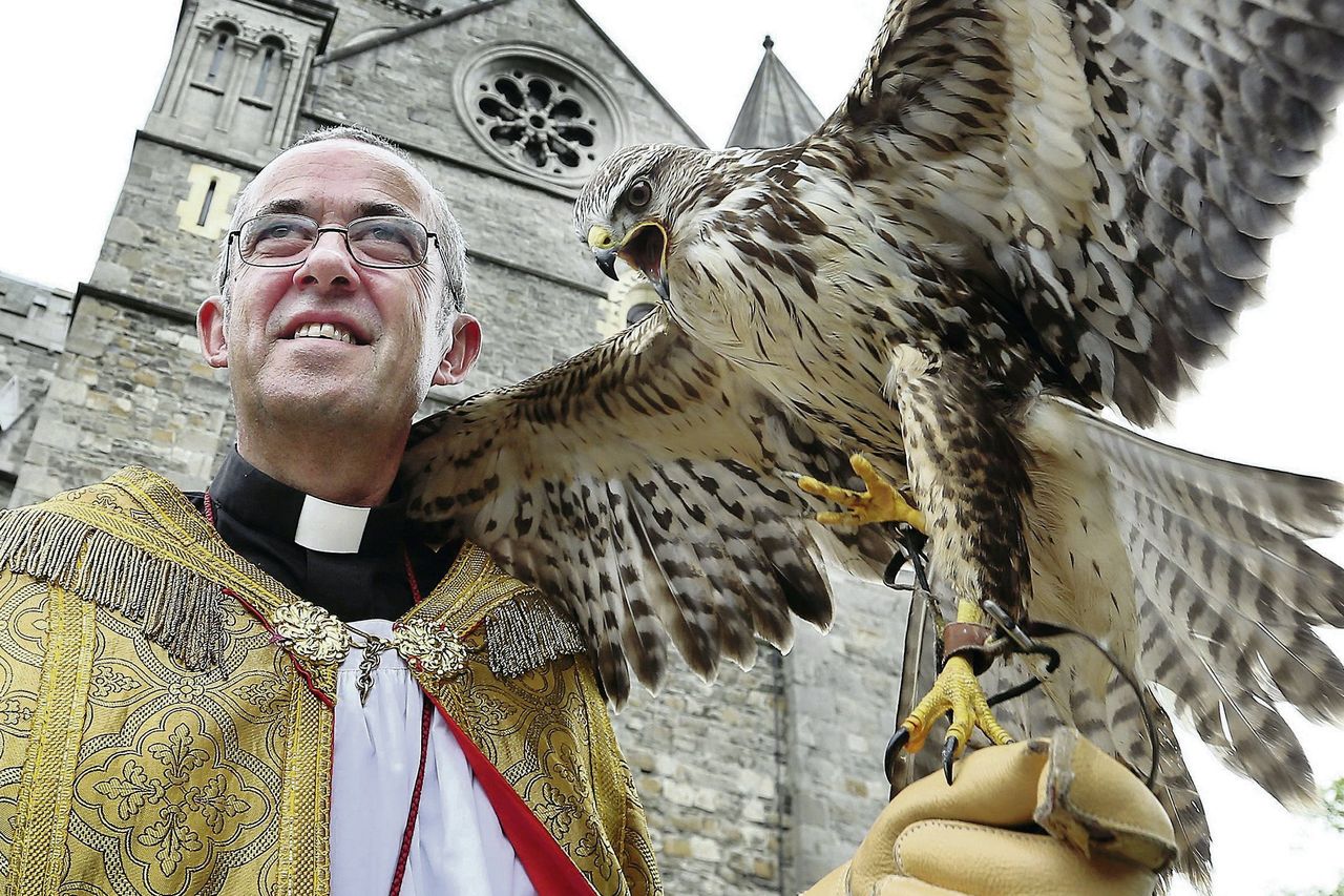 Bird of pray: Capital in a flap over new festival | Irish Independent