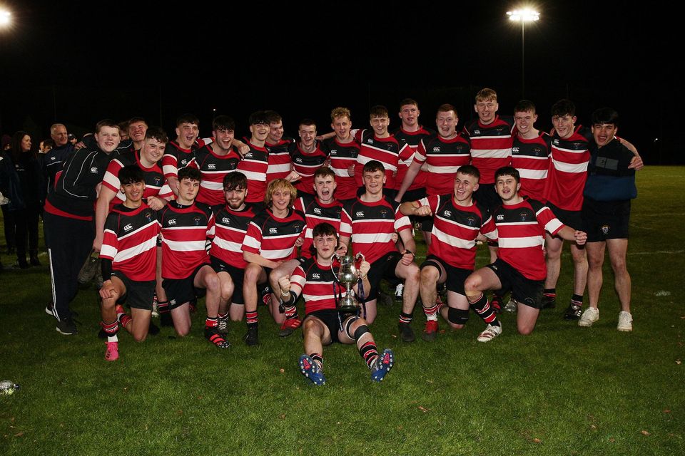 A victory to cherish for talented Wicklow RFC side | Irish Independent