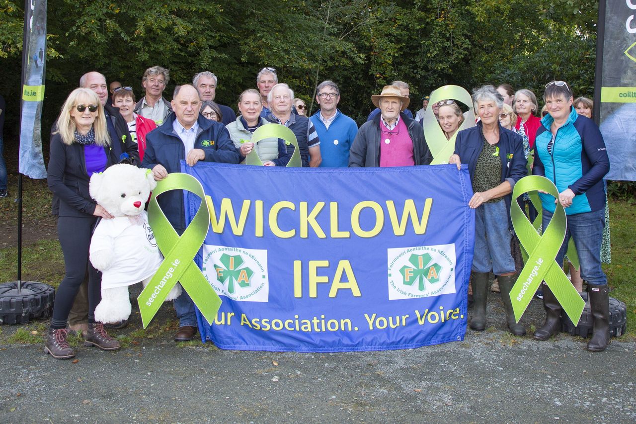 Wicklow Green Ribbon Walk raises mental health awareness | Irish ...