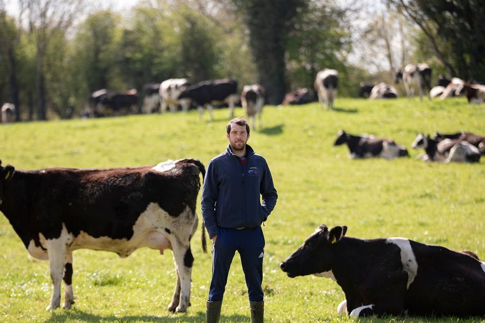 Young farmers and new CAP: ‘We needed some ingenuity and we needed ...