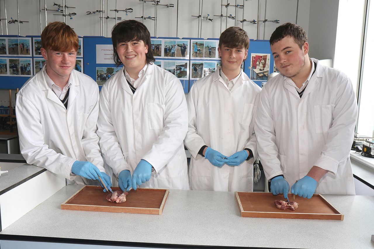 Enniscorthy Community College open day is a big hit with students ...