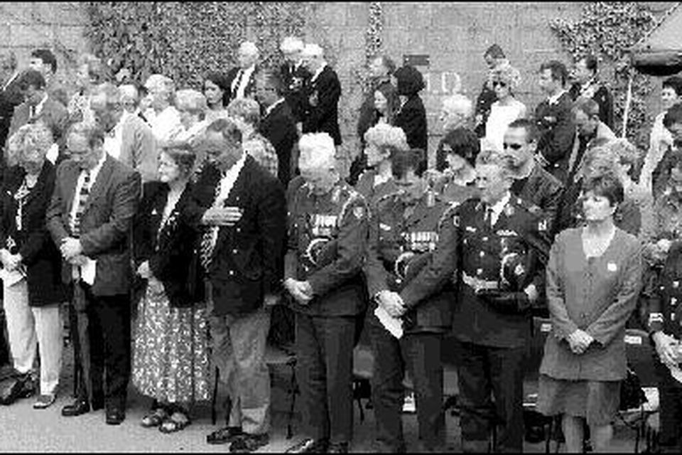 A brave Stamullen man is remembered for his ultimate sacrifice | Irish ...