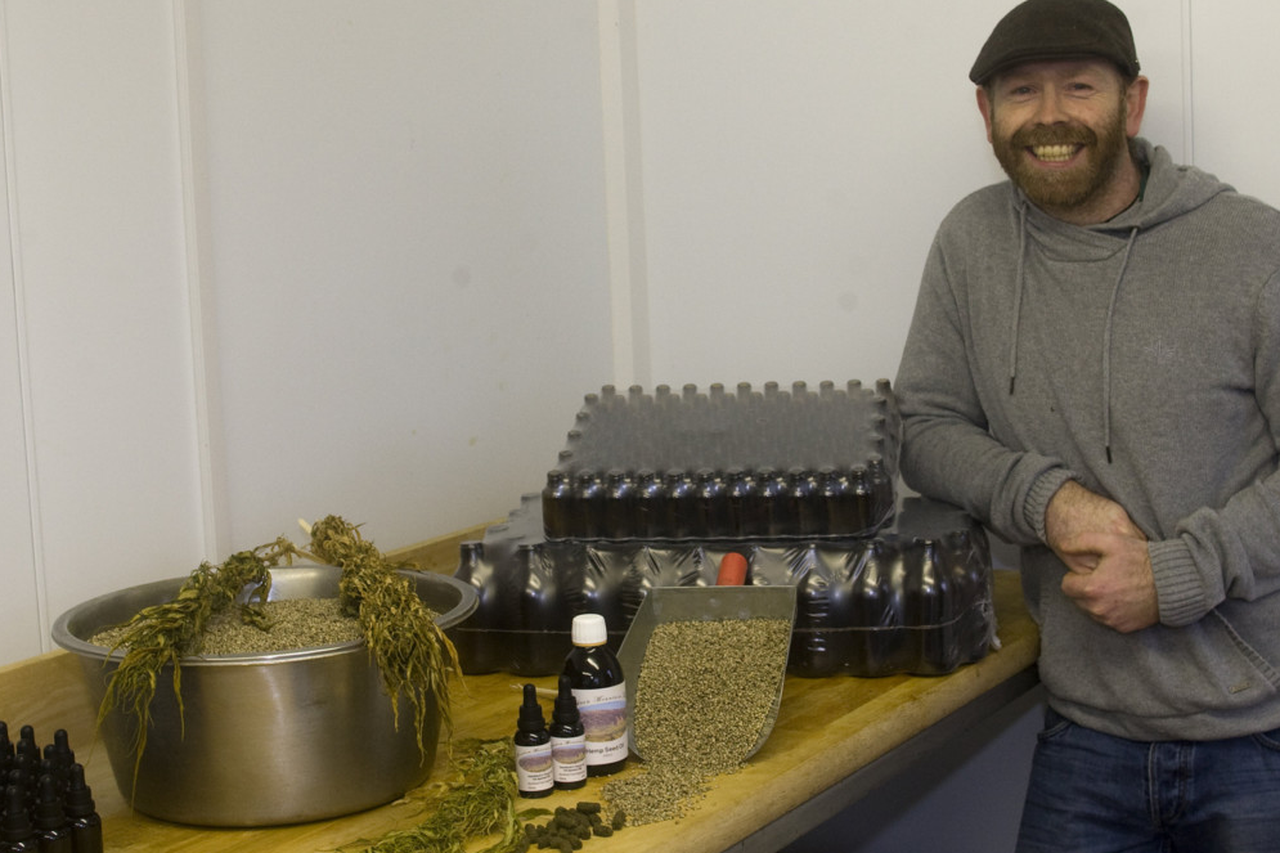 Growing hemp in the hills of Wicklow | Irish Independent