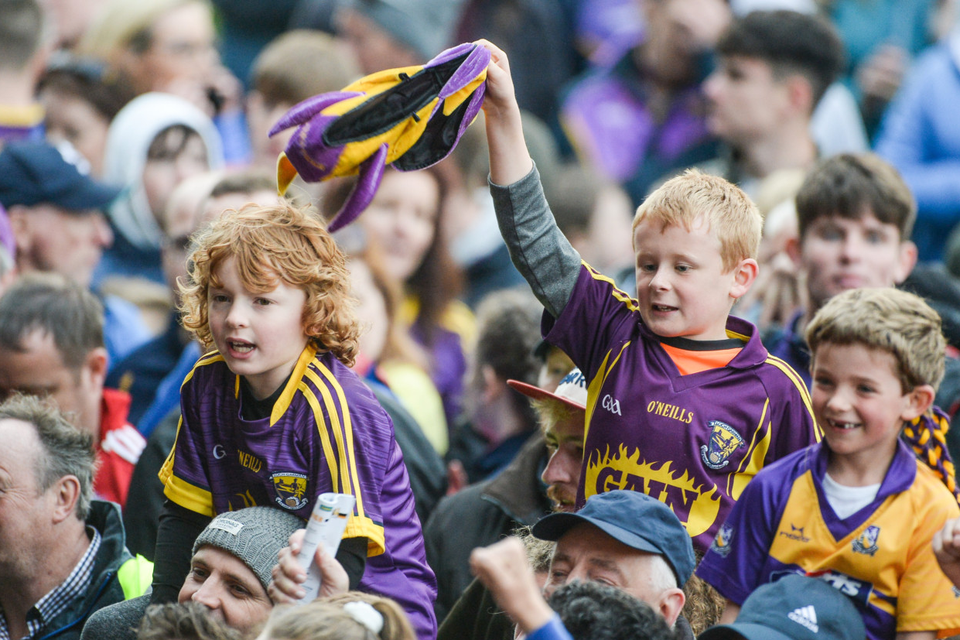 Wexford victory a huge boost for county | Irish Independent