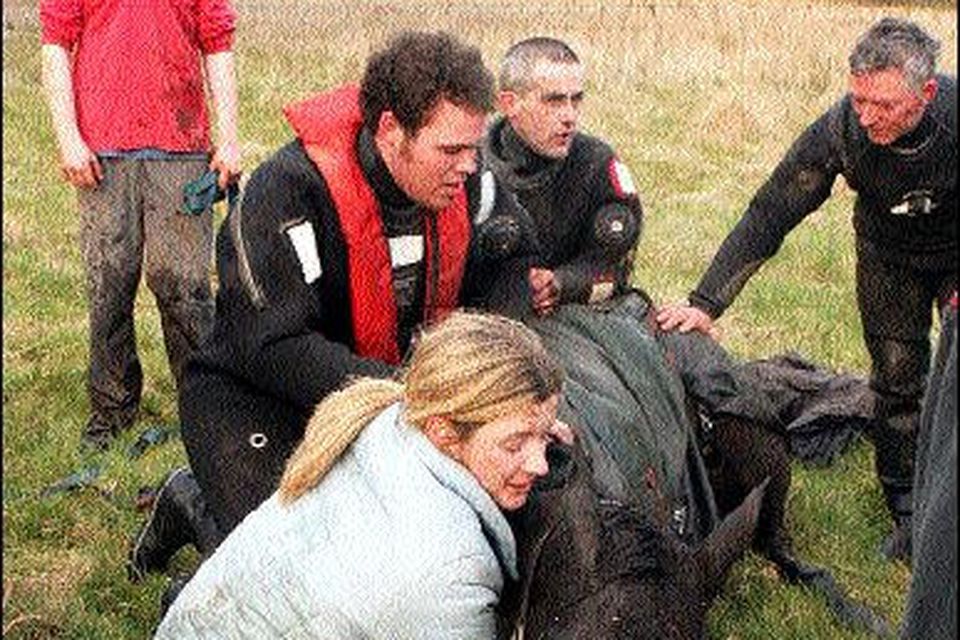 JD the horse cheats death in Boyne rescue operation | Irish Independent