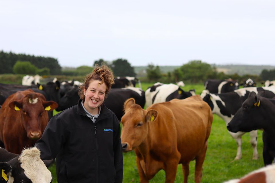 ‘None of our farmers turn off the tap at any time of the year’ – how ...