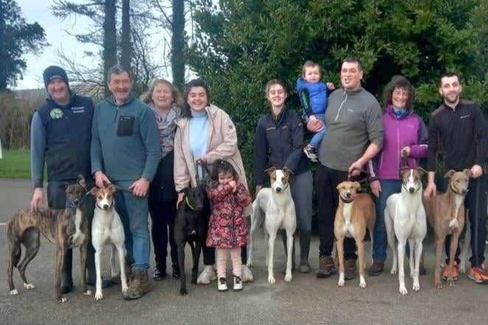 Liam Dowling holds the nap hand with Ballymac Sport to win the coursing ...