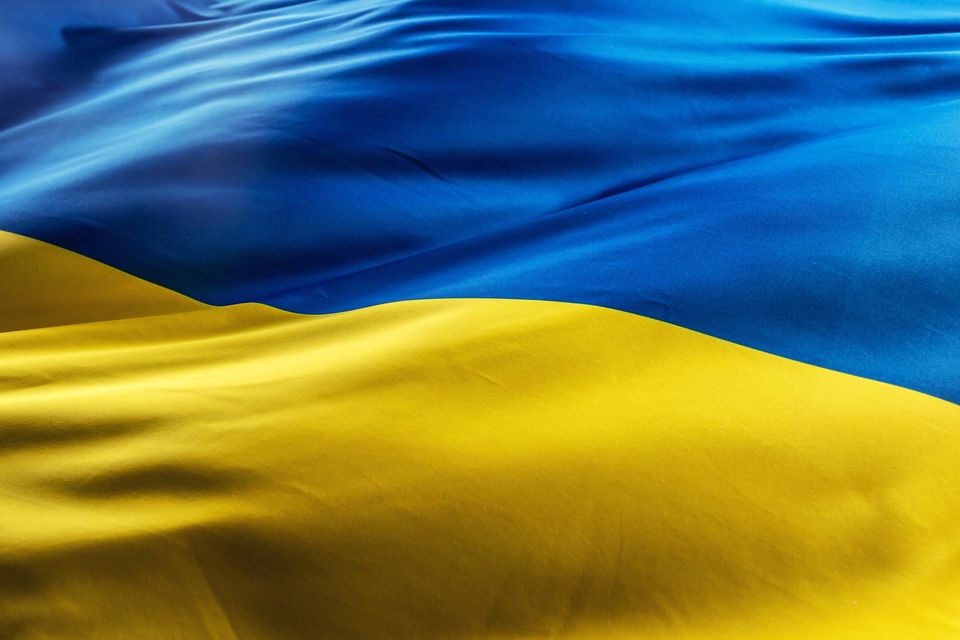 Ukrainian jobs initiative targets 200 roles and seeks more Irish ...