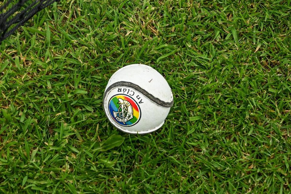 Brave Louth find Wicklow too hot to handle in final | Irish Independent