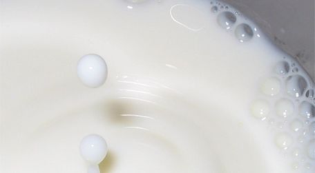 Scramble on for milk quota | Irish Independent