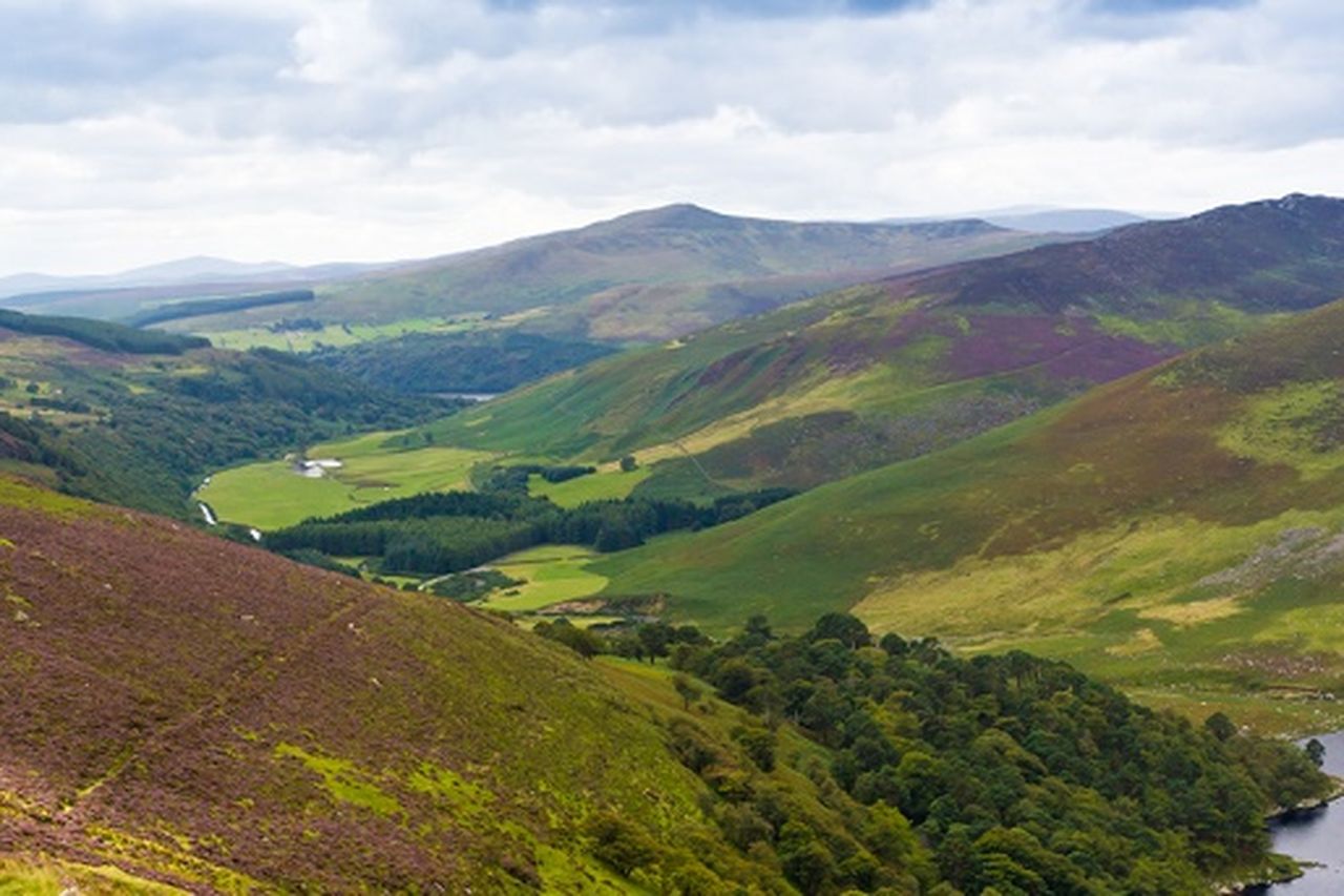 Coillte announces new ‘BioClass’ system to protect biodiversity in ...