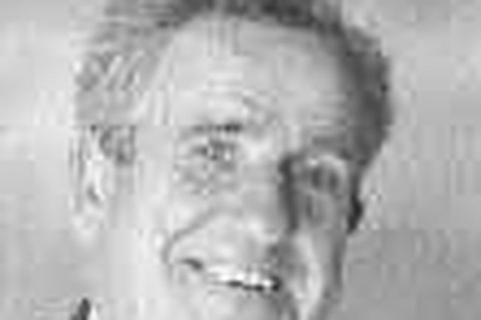 Down Memory Lane | Irish Independent