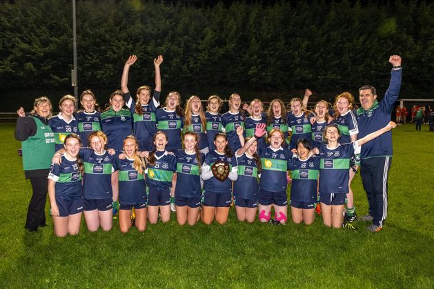 Bray Emmets power to victory over Rathnew | Irish Independent