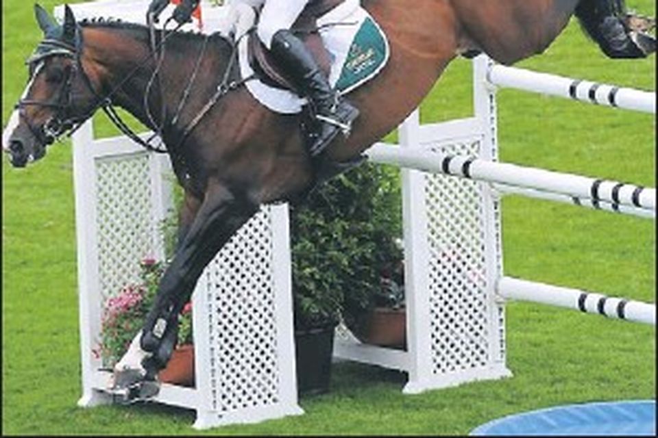 Sweetnam sensation in Aga Khan Cup | Irish Independent
